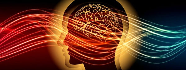 How to Create Flow. Use these steps to create the right environment ...