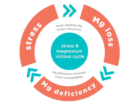 Magnesium Deficiency and Stress - OptimOZ.com.au