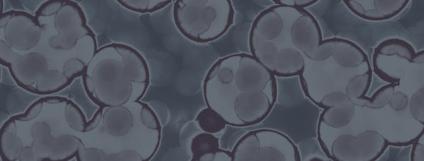 Biohacking Blog Page 3 - OptimOZ.com.au