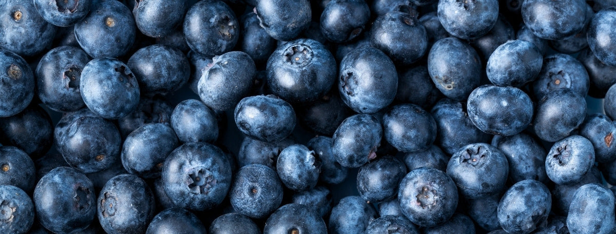 Biohacking Weekly: Cordycepin, Sleep & Natural Ozempic Alternative - OptimOZ.com.au