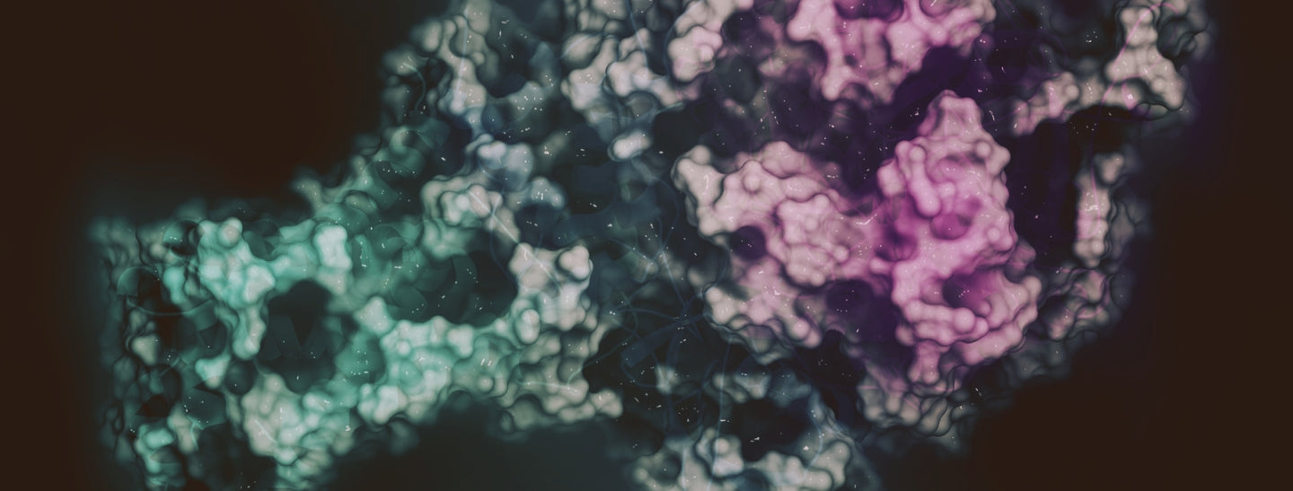 Biohacking Weekly: Keto, Centenarians and Mitochondria - OptimOZ.com.au